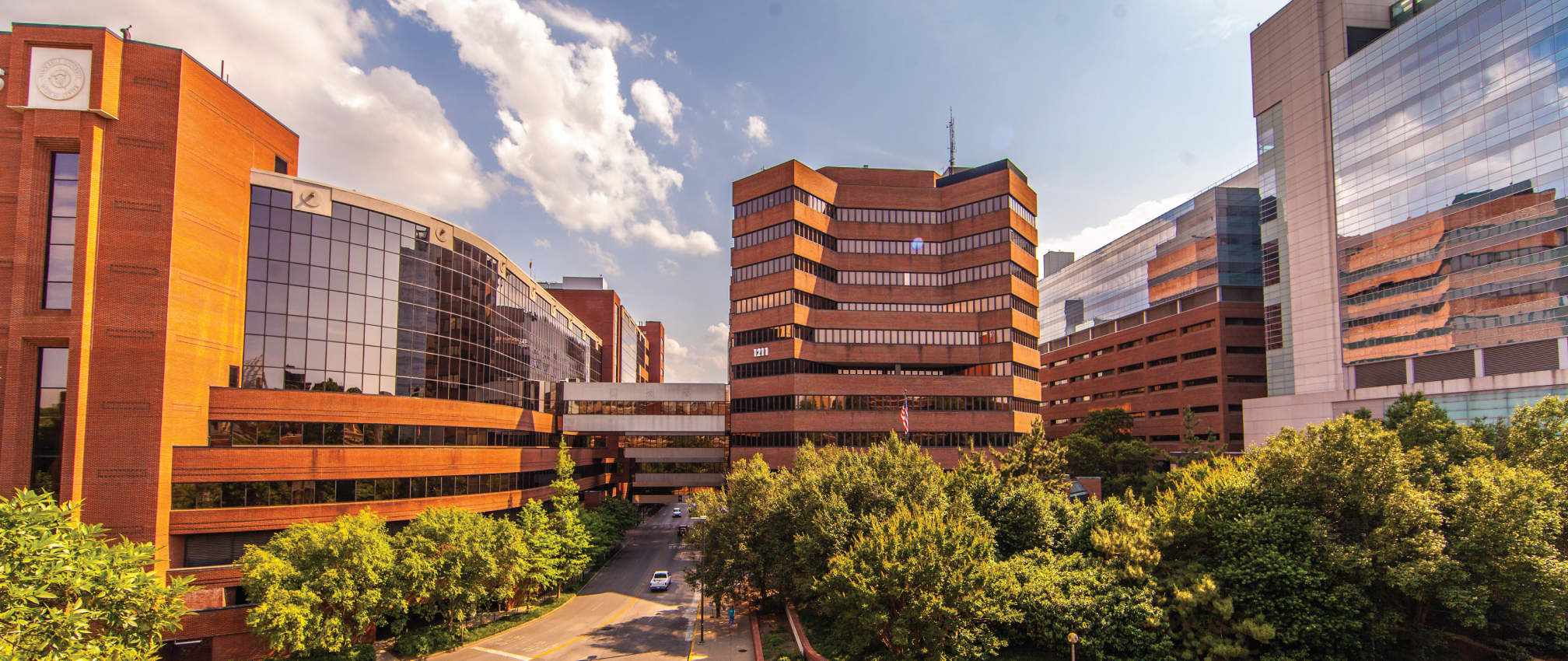 About | Department of Radiology